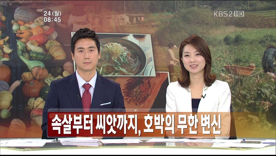 유지원 (KBS 아침뉴스타임) - 아나운서 갤러리